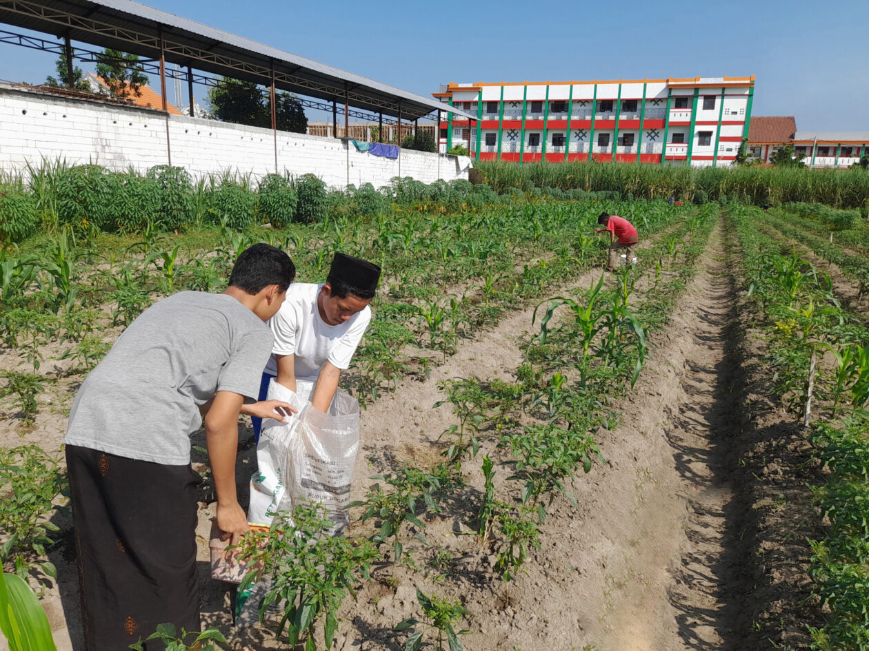 Lima Santri Terpilih Jadi Tenaga Pendamping Project Pertanian di ...